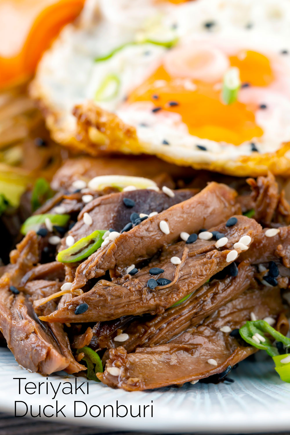 Shredded Teriyaki Duck Donburi Rice Bowl - Krumpli