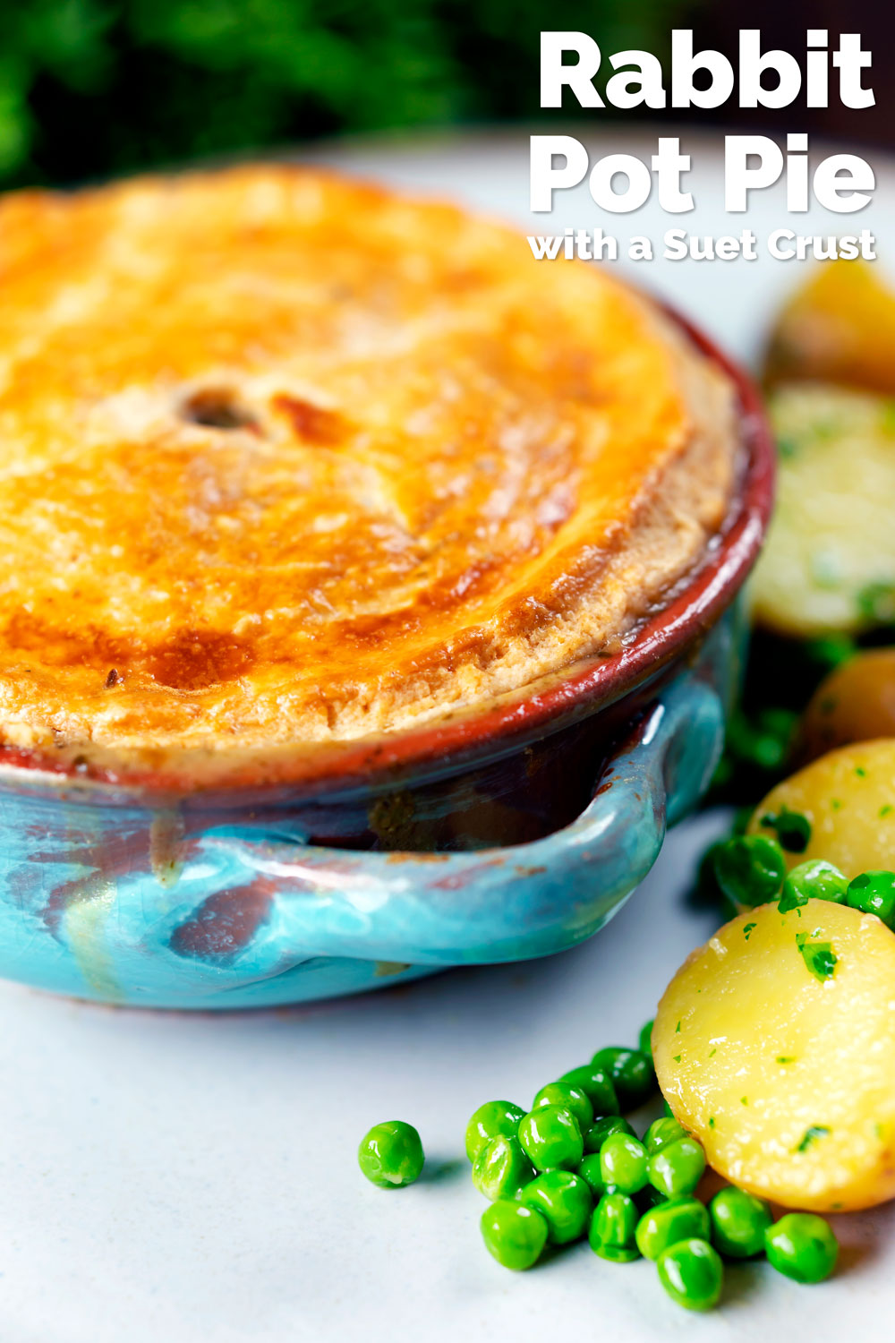 Rabbit Pie with Suet Crust - Krumpli
