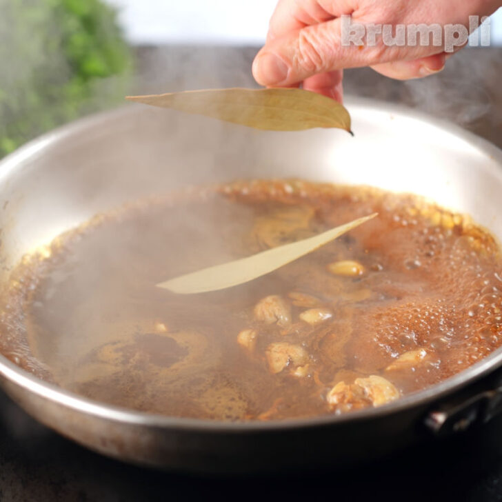 Quick and Easy Adobo Pork Chops - Krumpli